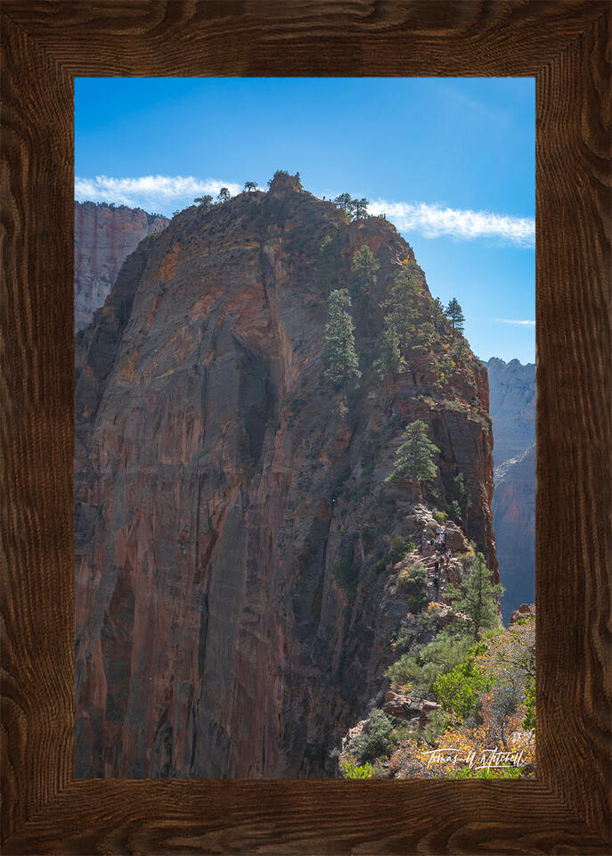 Photography art prints Angels Landing Zion National park | Tomas W Mitchell